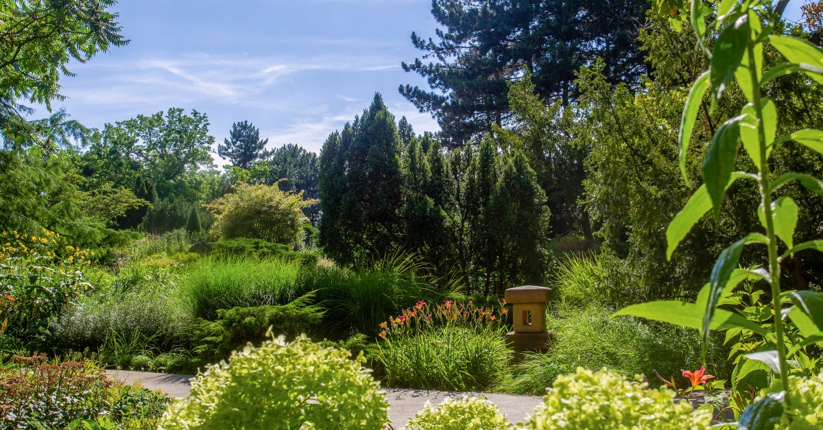 Budapesti parkok: a város legszebb kertjei és oázisai