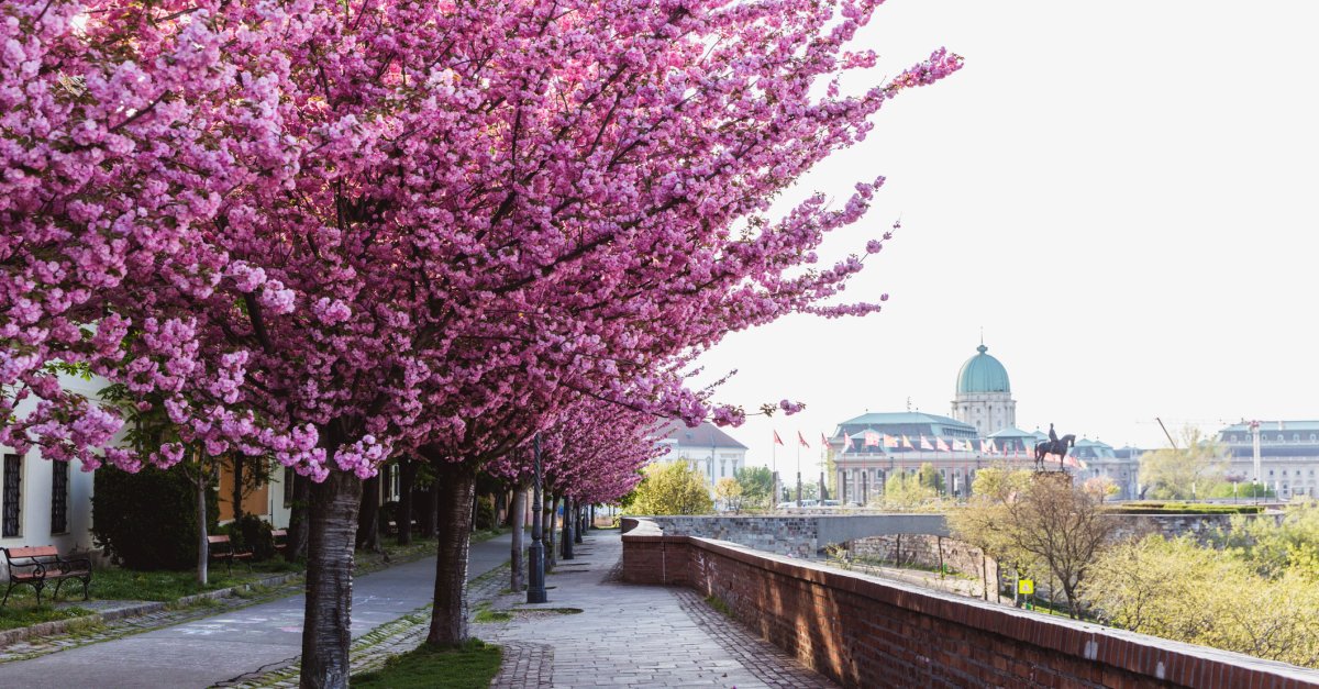 5 stunning spring destinations near Budapest
